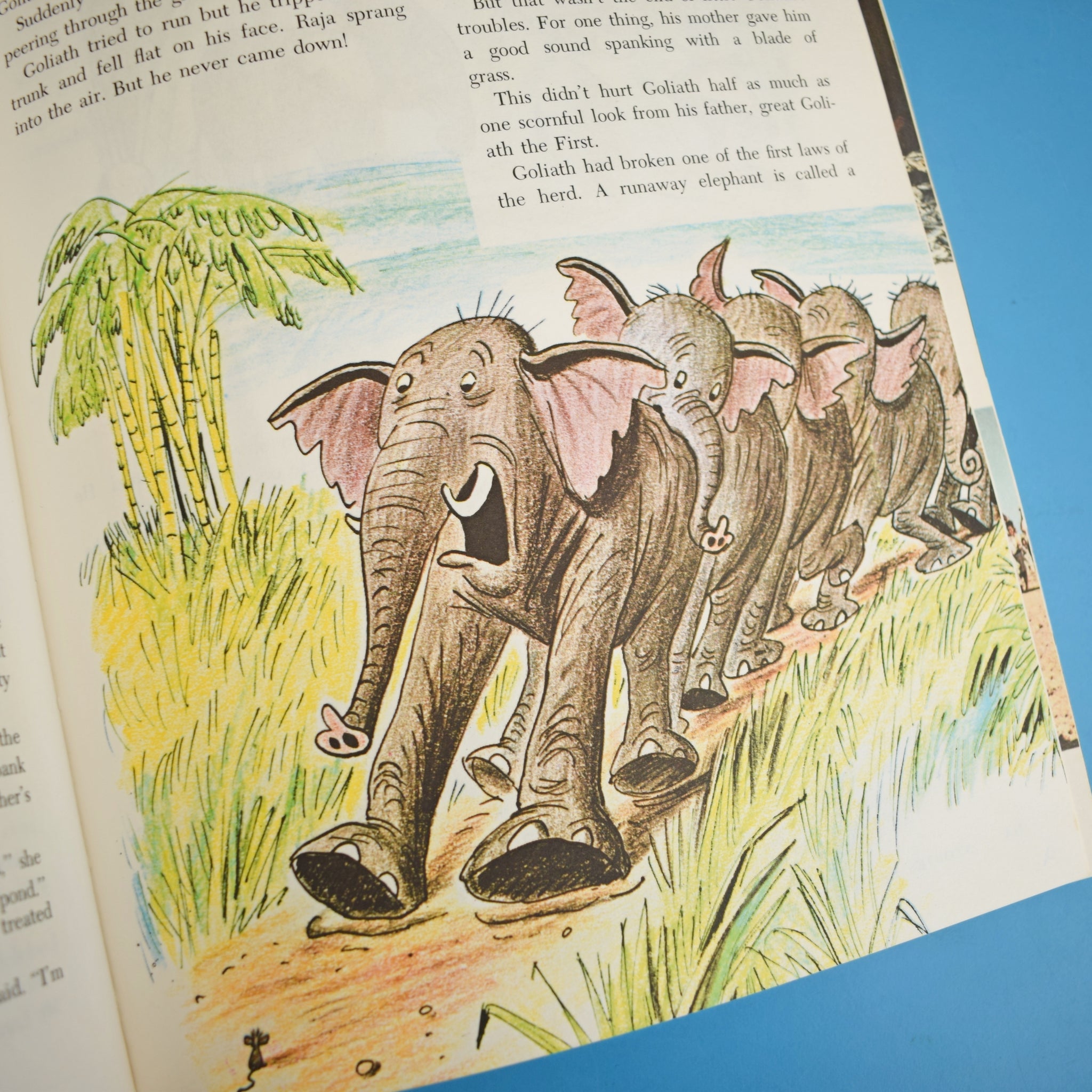Vintage 1960s Disney Book Sets – Pineapple Retro