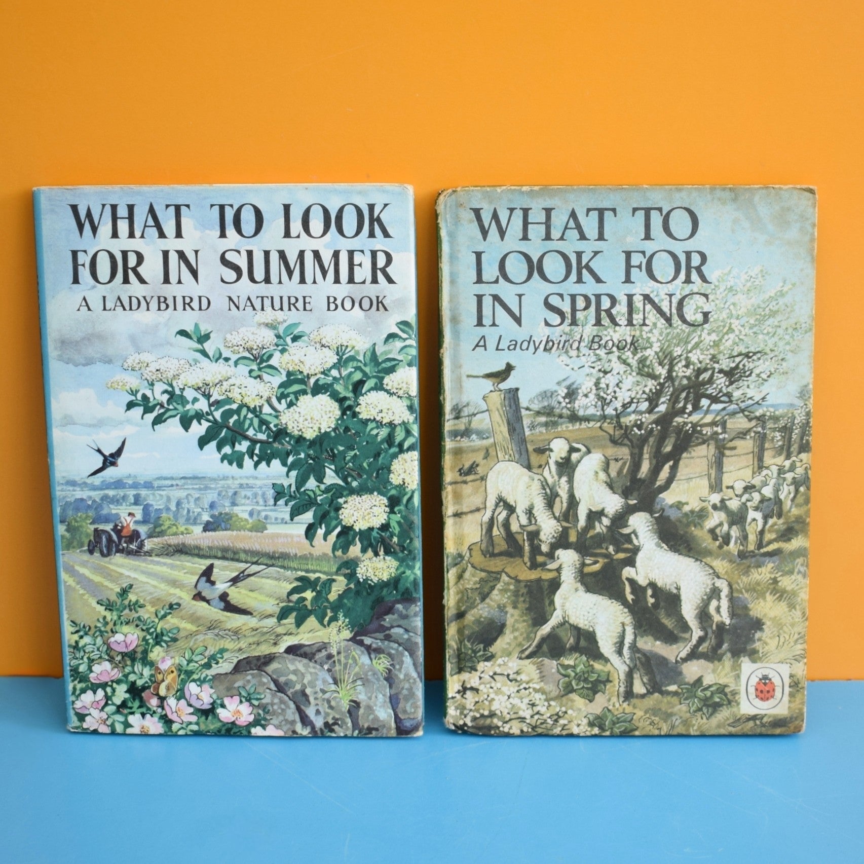Vintage 1960s Ladybird Book - What to Look for in Summer & Spring ...