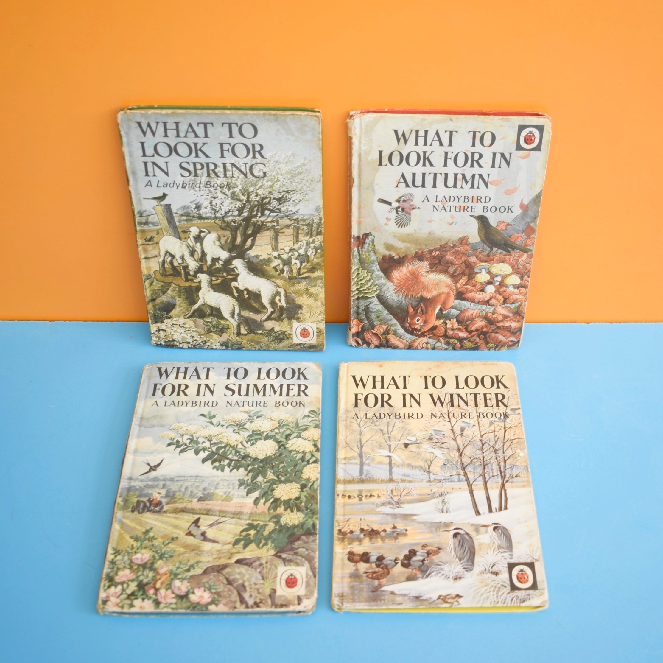 Vintage 1960s Ladybird Books - What to Look For In Spring, Summer, Aut ...