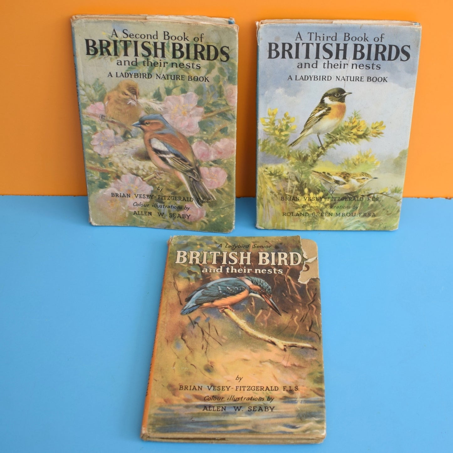 Vintage Ladybird Book - Birds - Early x3 – Pineapple Retro